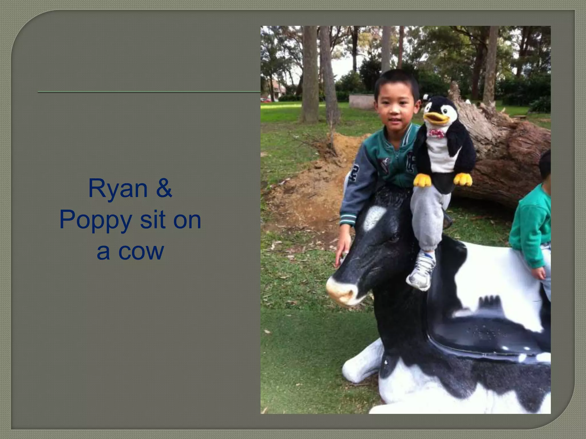 Ryan and poppy | PPTX