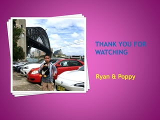 Ryan and poppy 2 | PPTX