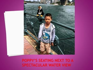 Ryan and poppy 2 | PPTX