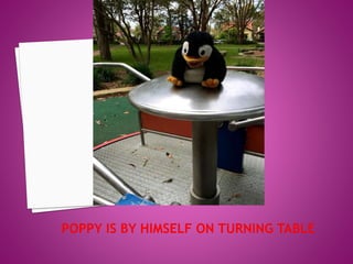 Ryan and poppy 2 | PPTX