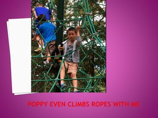 Ryan and poppy 2 | PPTX