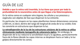 células gliales de la retina | PPTX