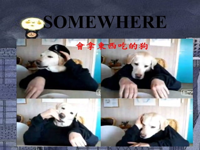 Ryan Hsu 徐培恩 | PPT