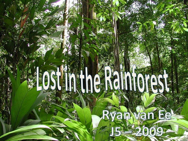 Ryan Lost In Rainforest | PPT