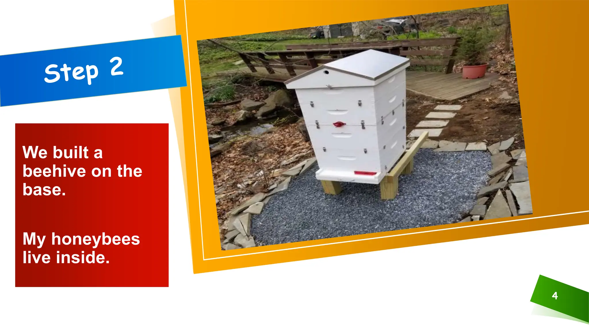 Ryan's 1st Backyard Honeybee Hive Project | PPTX
