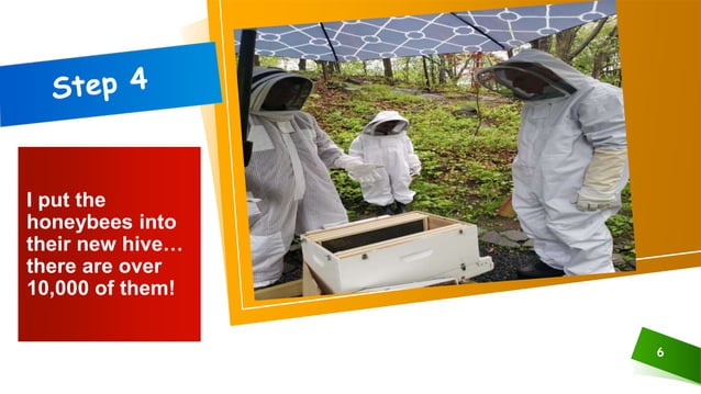 Ryan's 1st Backyard Honeybee Hive Project | PPTX