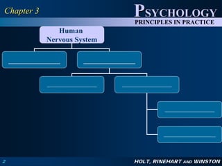 Ryans Psy Ch03 2010 | PDF