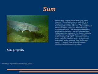 ryby.ppt rodzaje i charakterystyka ryb !! | PPT