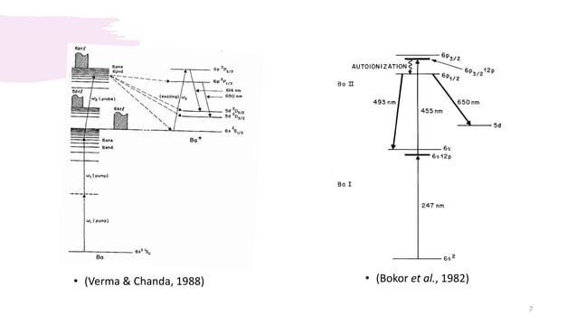 Rydberg Ionization Spectroscopy (Shahaab, Hashim).pdf