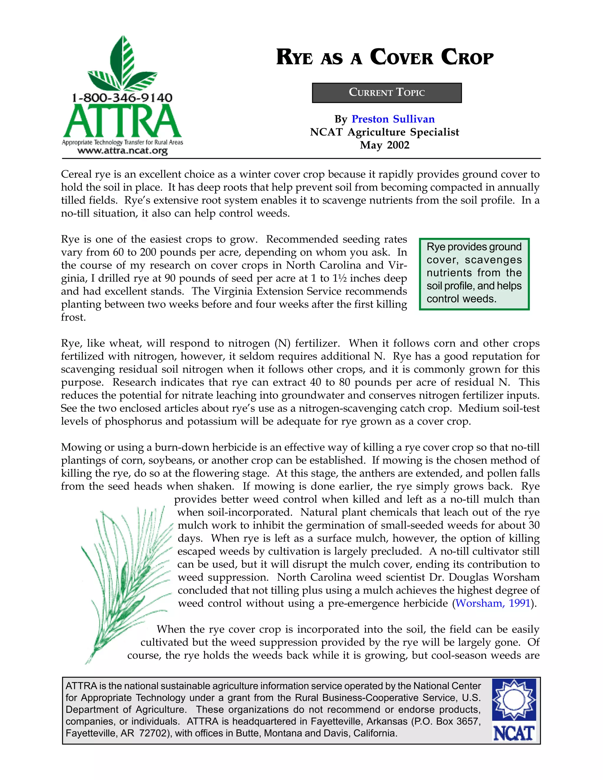 Rye as a Cover Crop | PDF