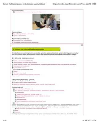 Ryhmanohjausaineisto | PDF