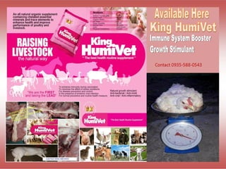 RYI- King HumiVet | PPT