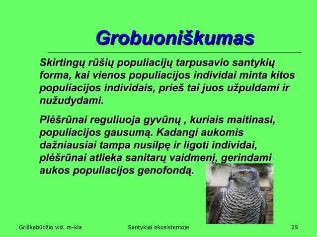 Ryšiai tarp rūšių | PPT