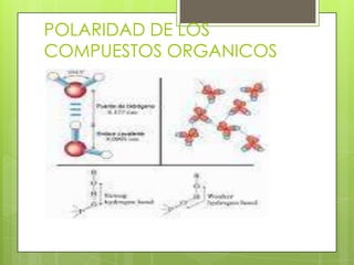 reacciones orgnicas | PPTX