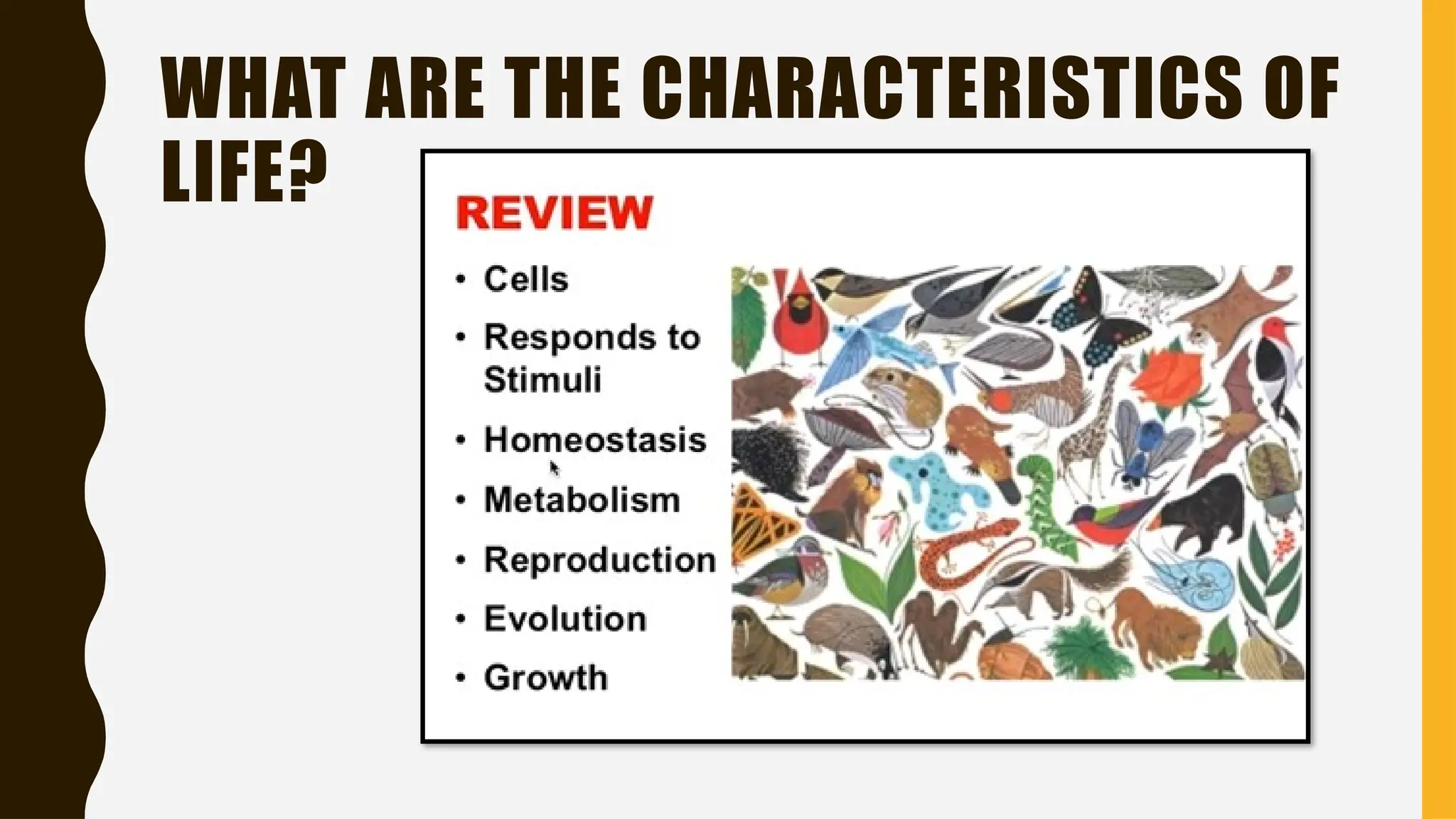 Biology- Characteristics of Life, What Makes Things Living- Basic ...