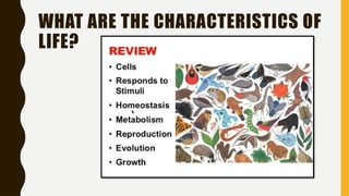 Biology- Characteristics of Life, What Makes Things Living- Basic ...