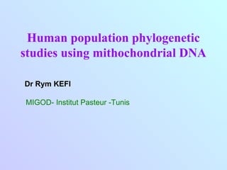 Rym kefi (1) | PPT