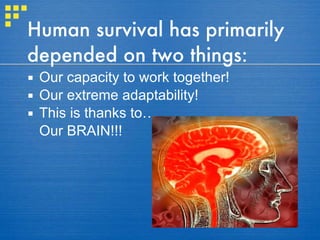 Evolution and the Incredible Brain | PPT