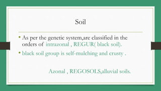Soils of india | PPTX