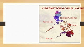 ryzza(PPT) (1).pdf..,..................... | PDF