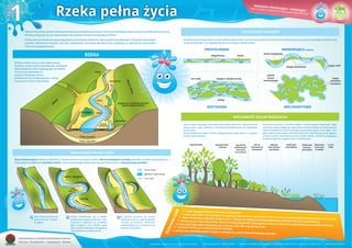 Rzeka pełna życia | PPT