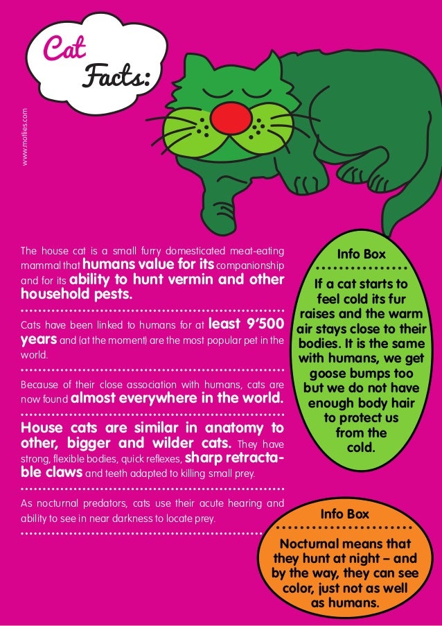Cat facts