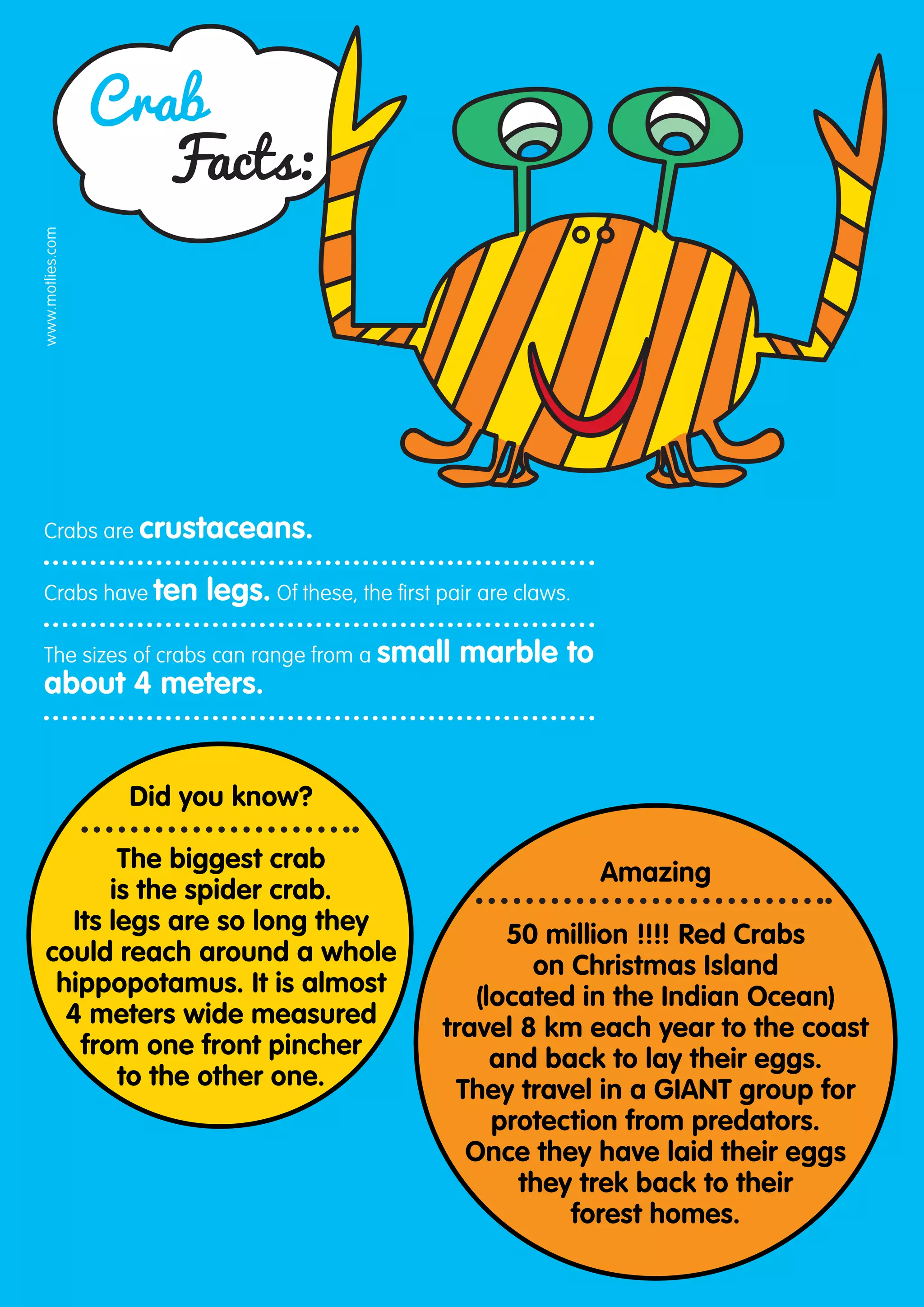 Crab facts | PDF