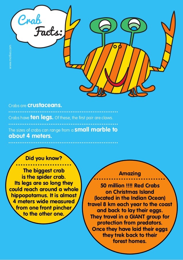 Crab Facts crab-facts