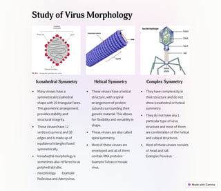 Virus | PDF