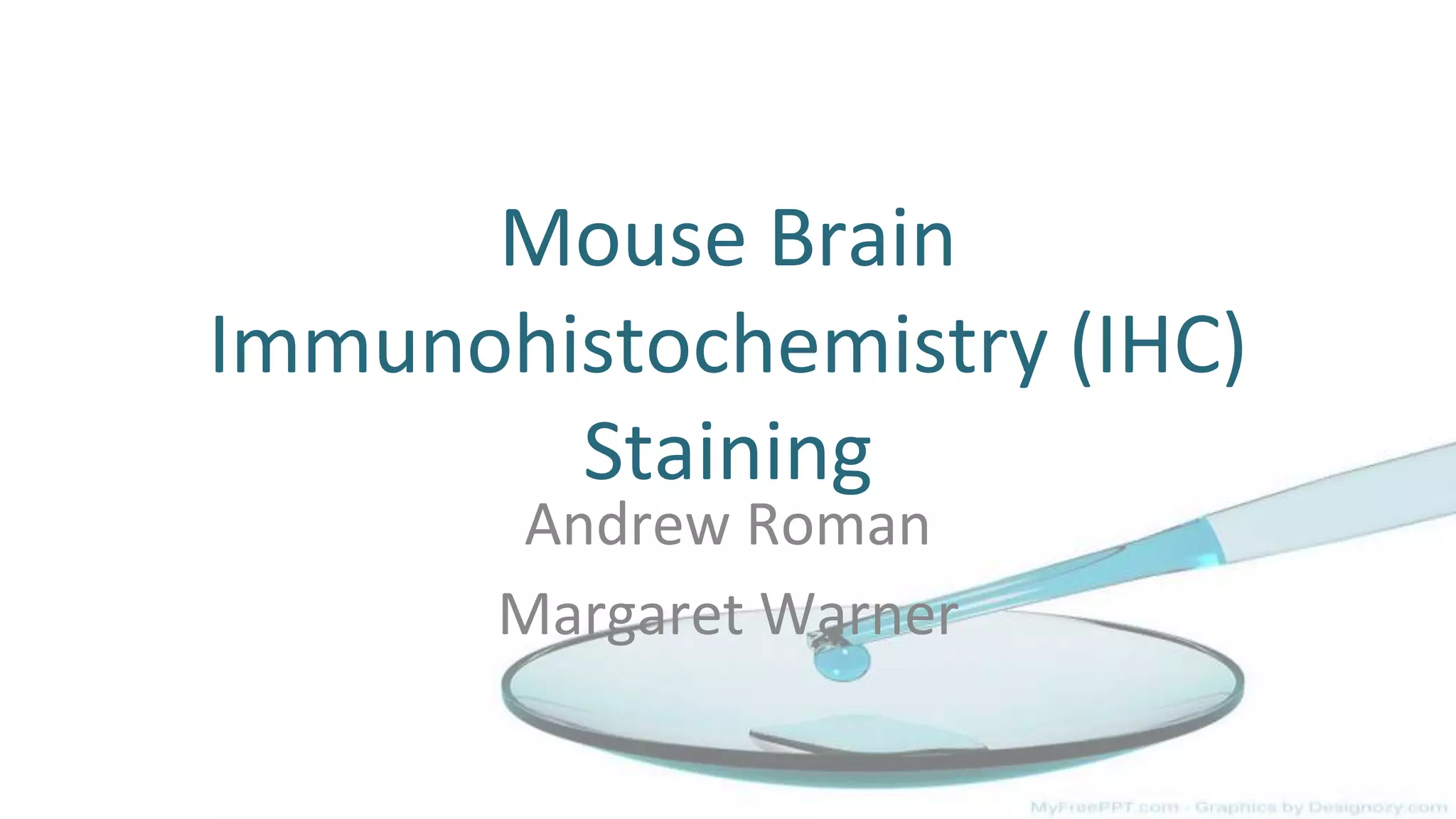 Mouse brain immunohistochemistry staining | PPT