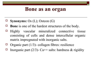 General osteology | PPT