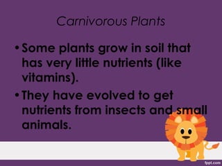 U4 l5 carnivorous plants | PPT