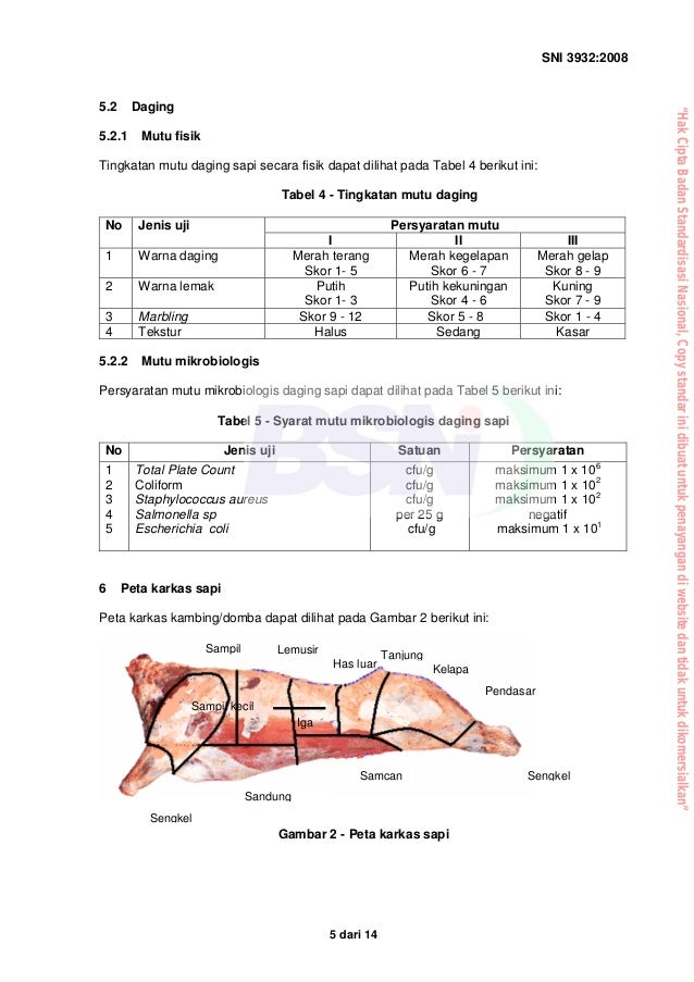 Sni karkas dan daging sapi