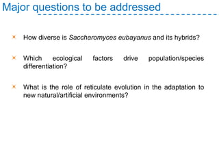 S.eubayanus & reticulate evolution | PPTX
