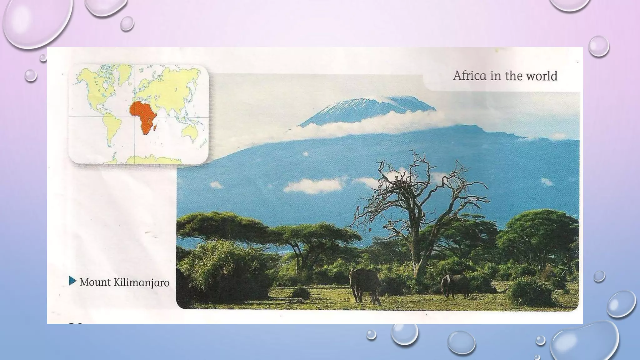 Continents Social Studies 6th grade | PPTX