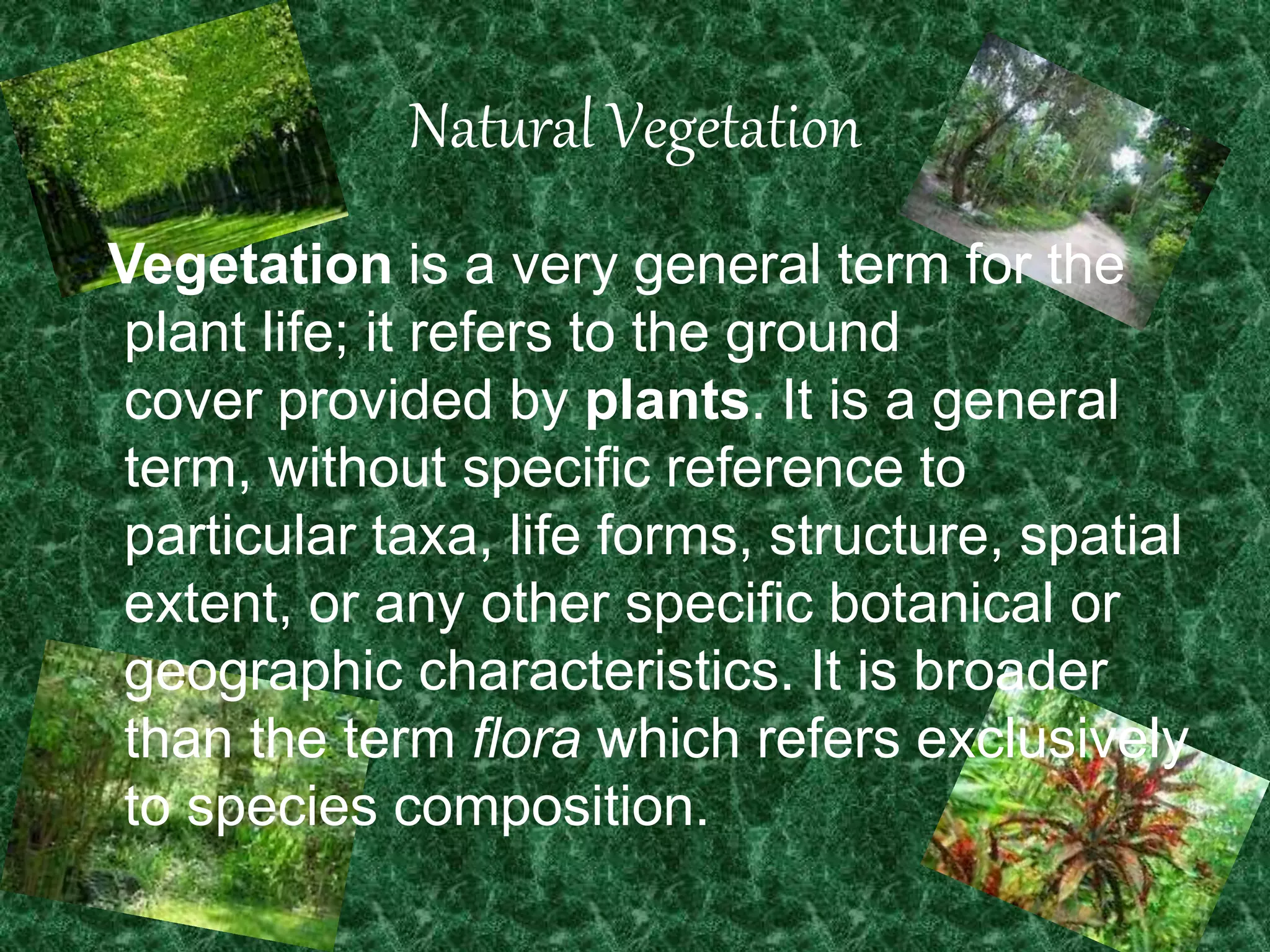 Natural Vegetation & Wildlife | PPTX