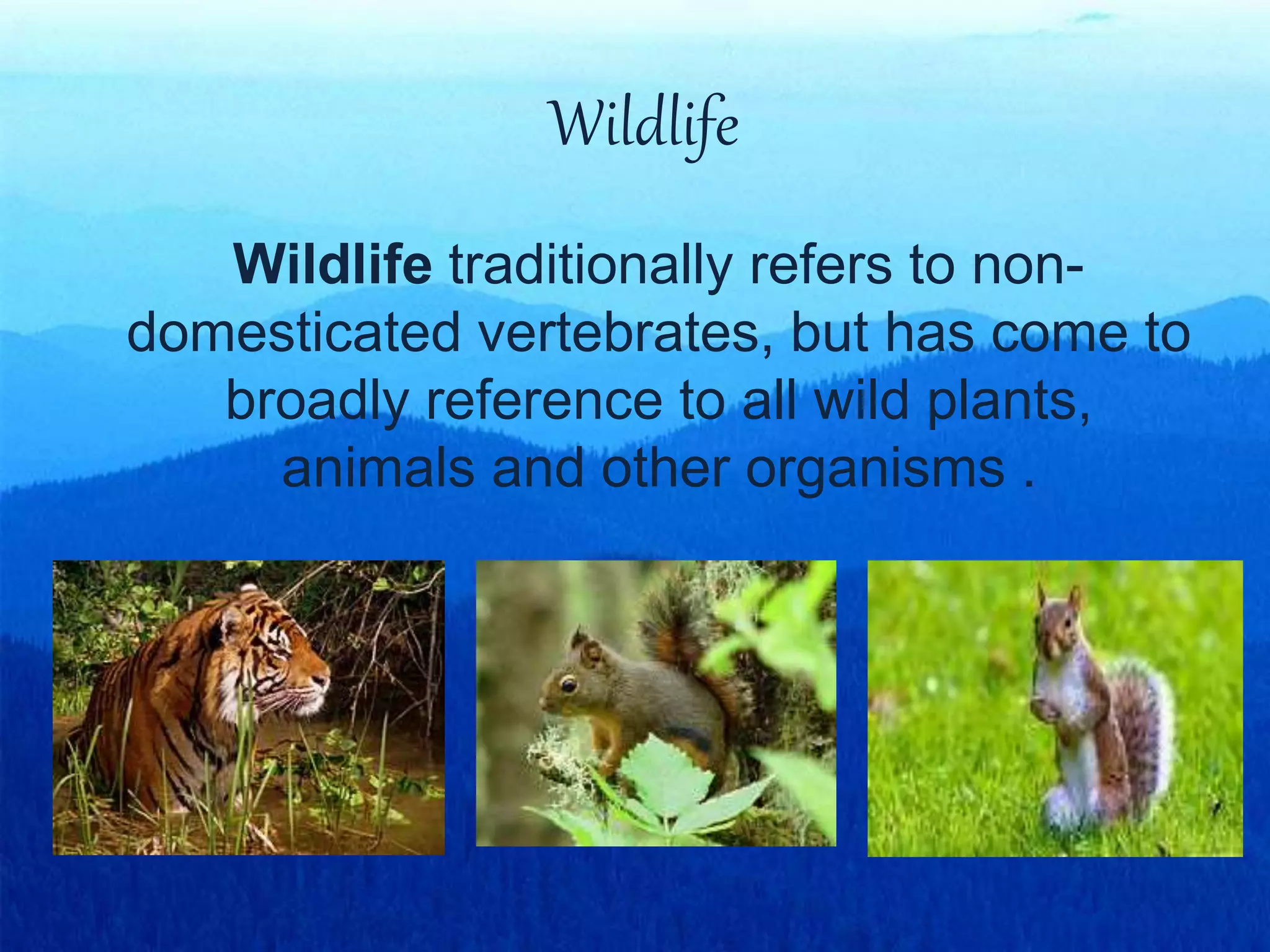 Natural Vegetation & Wildlife | PPTX