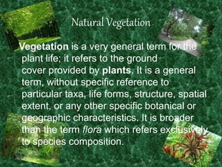 Natural Vegetation & Wildlife | PPTX