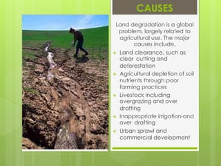 Land resources | PPTX