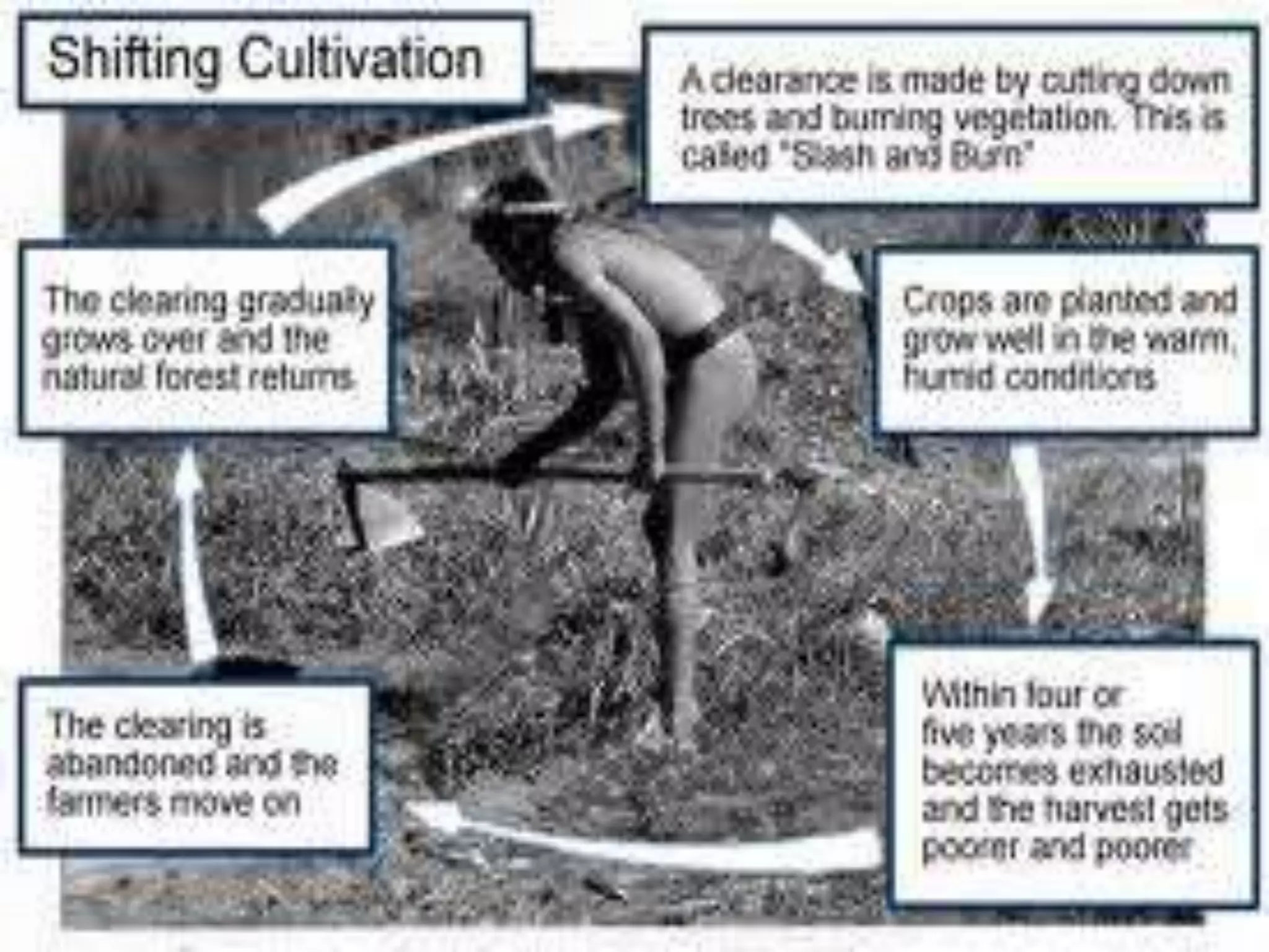 S.Sc. Project [Class 8] AGRICULTURE | PPTX