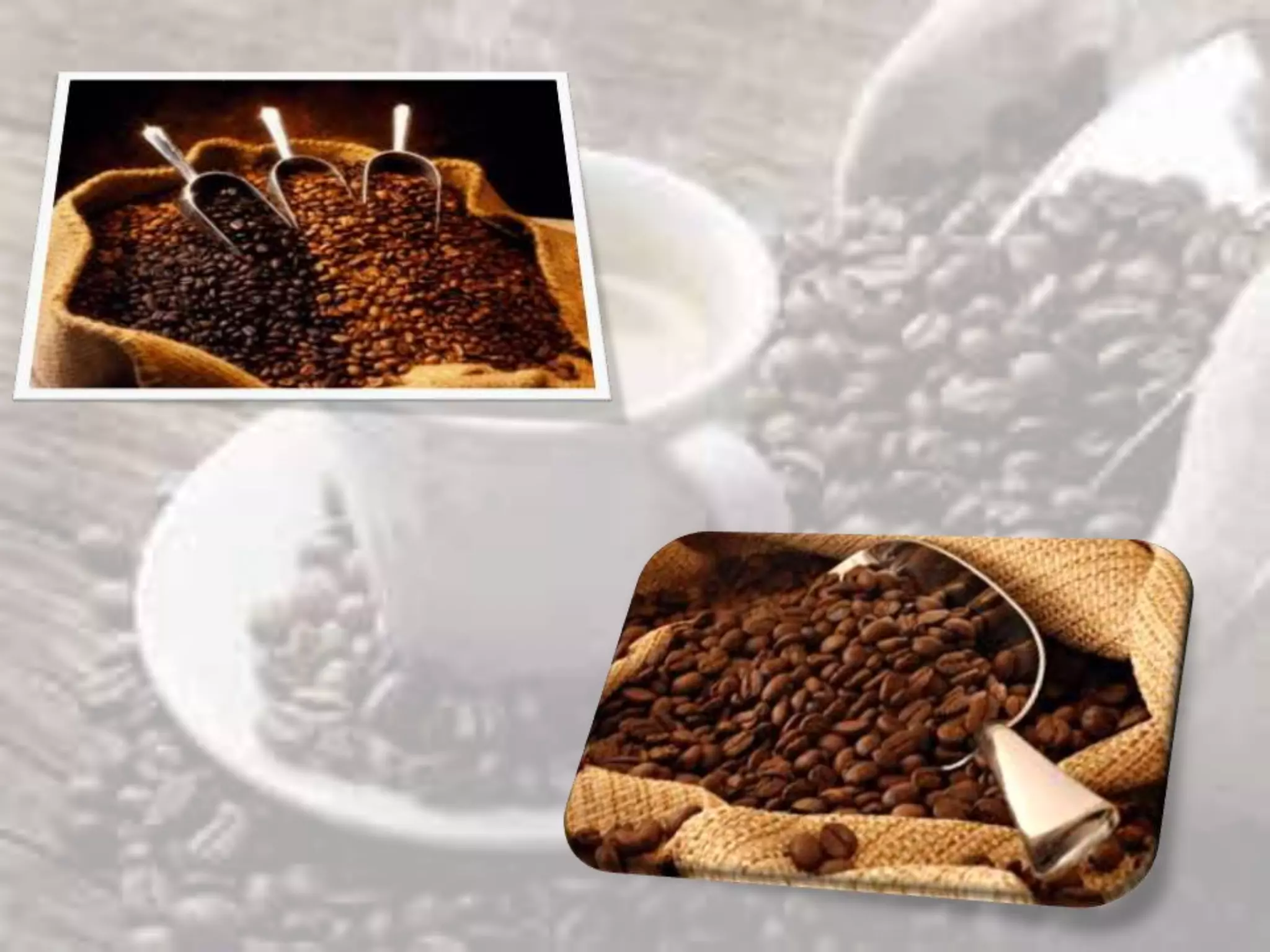 S.Sc. Project [Class 8] AGRICULTURE | PPTX