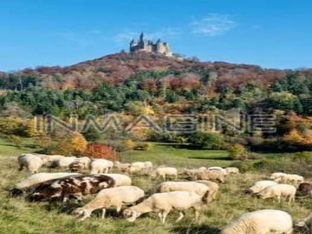 S.Sc. Project [Class 8] AGRICULTURE | PPTX