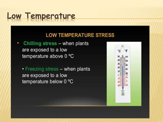 S.P Pillai aswathy viswanath | PPTX