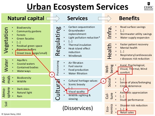 Ecologically Smart Cities with Urban Ecosystems Services