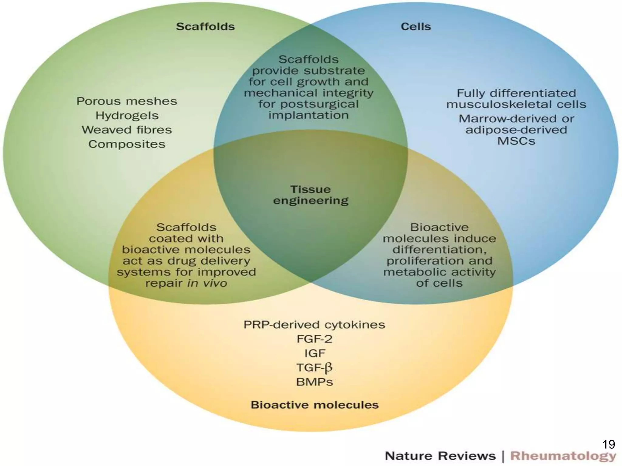 Bone tissue engineering challenges in oral and maxillofacial surgery | PPTX