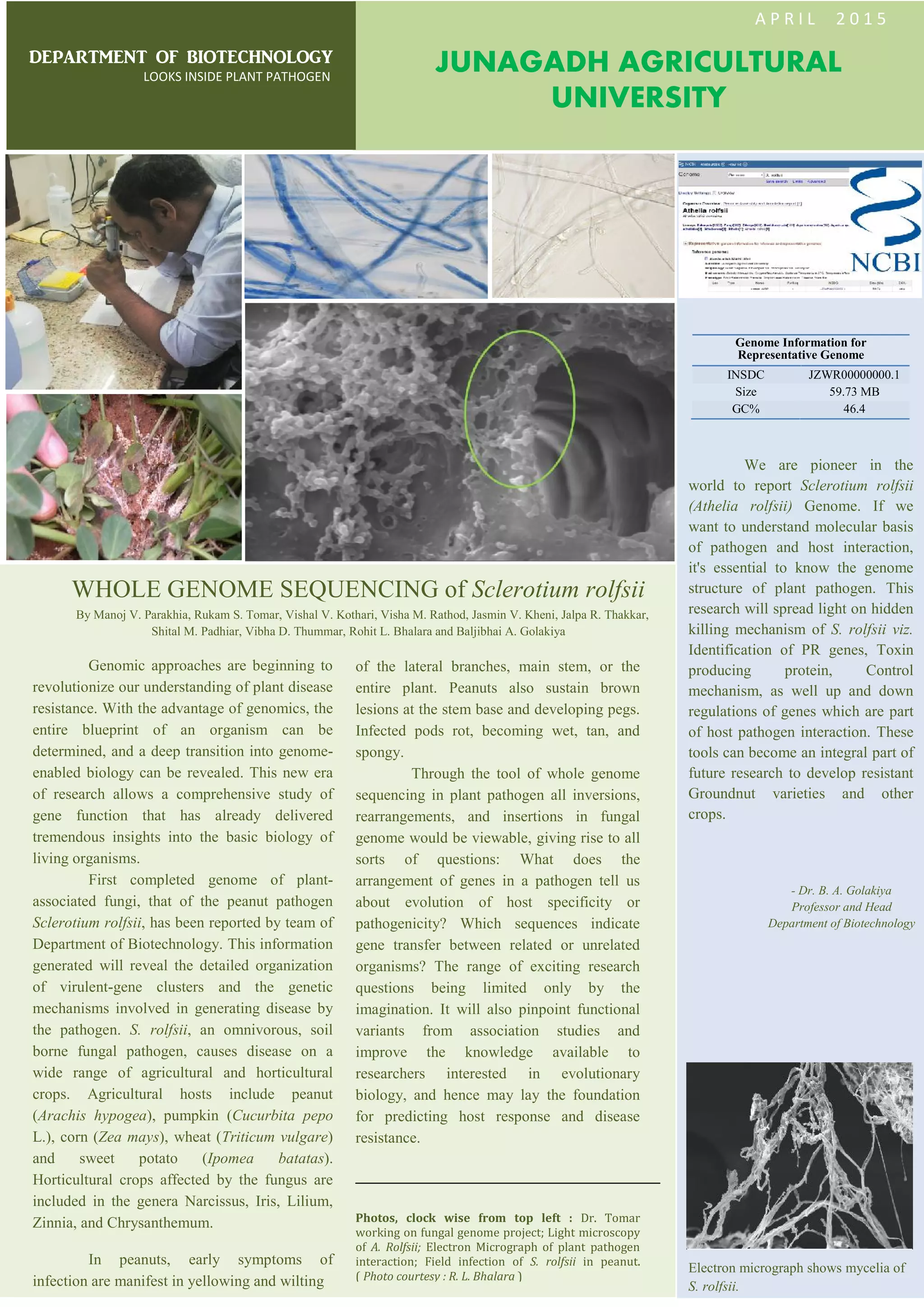 Genome of fungal pathogen Sclerotium rolfsii (Athelia rolfsii): causative agent of Southern ...