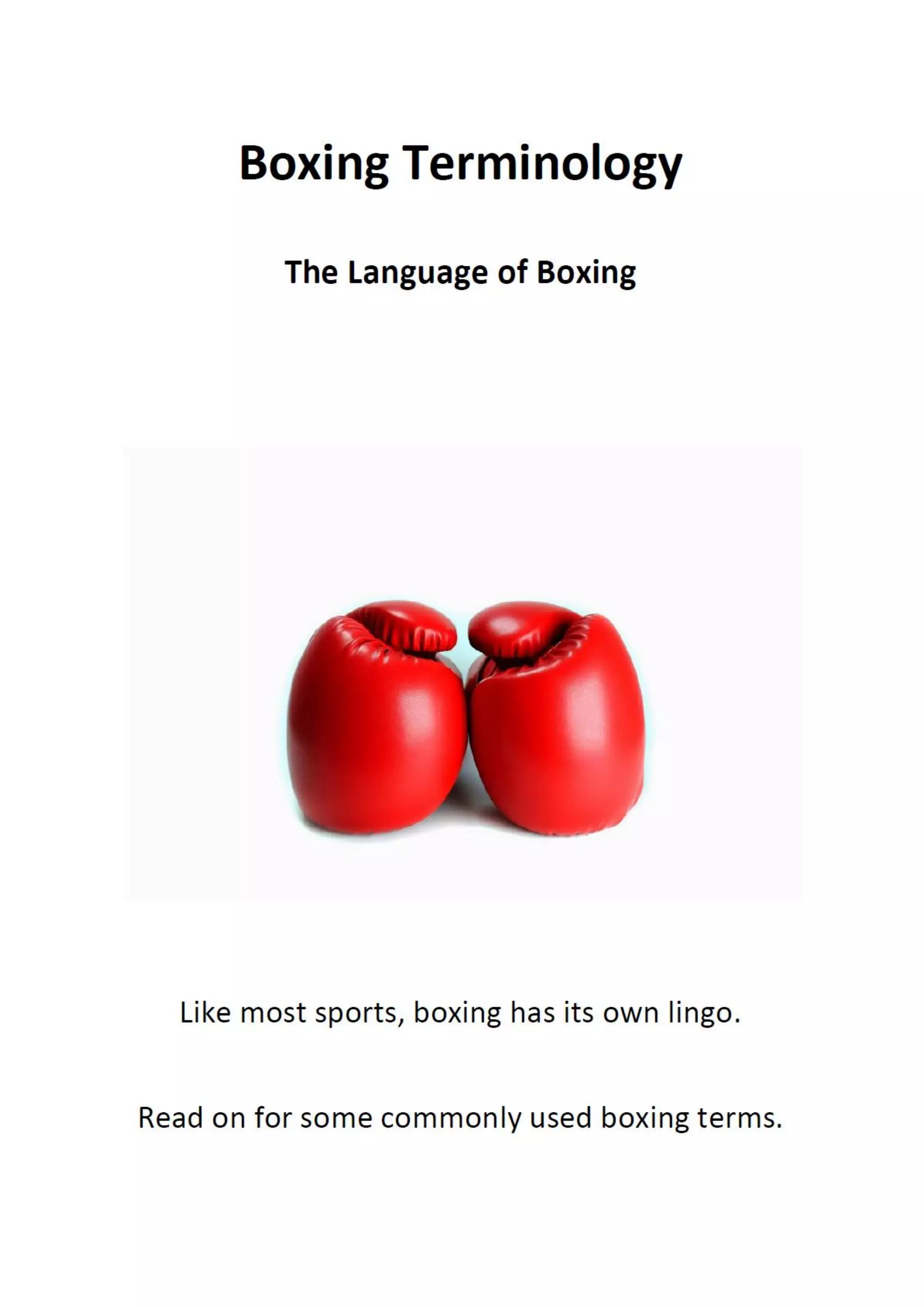 Boxing Terminology | PDF