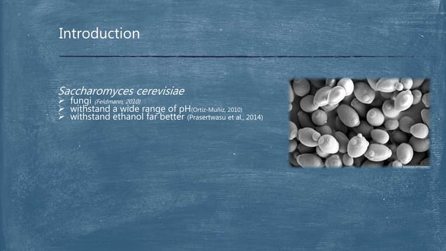 S.cerevisiae fermentation in shake flask experiment | PPTX | Chemistry ...