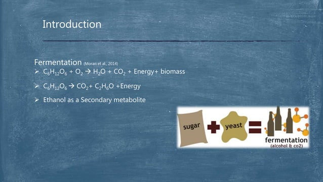 S.cerevisiae fermentation in shake flask experiment | PPTX | Chemistry ...