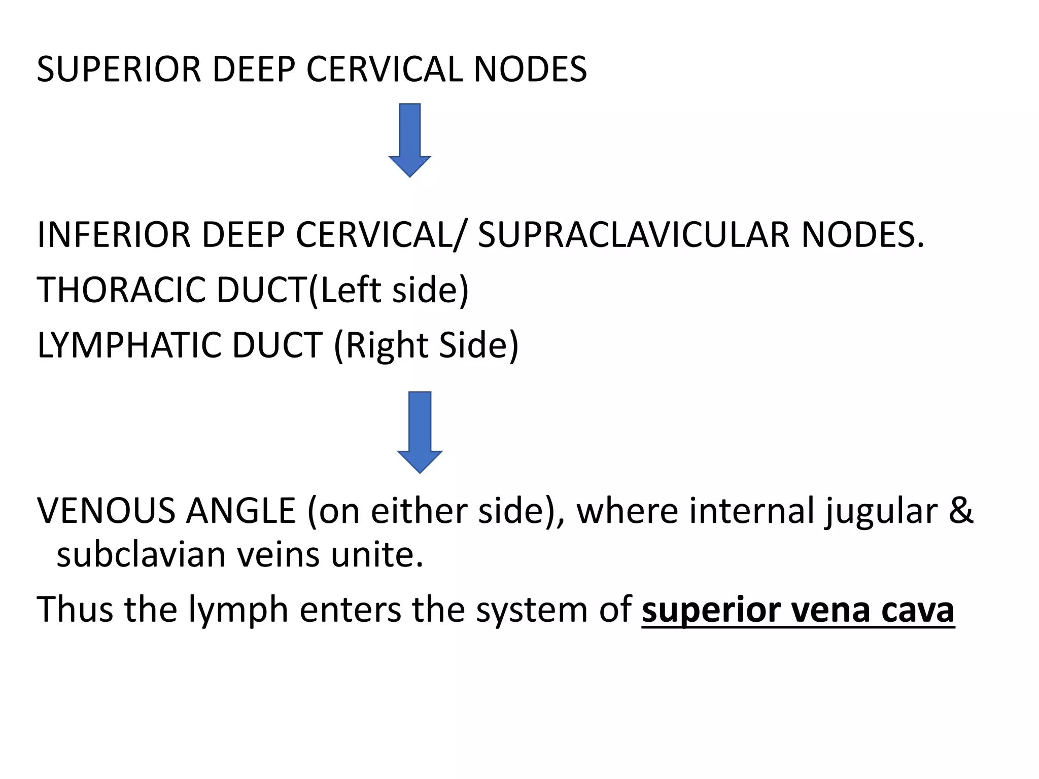 Surgical Anatomy of Lymph nodes | PPTX